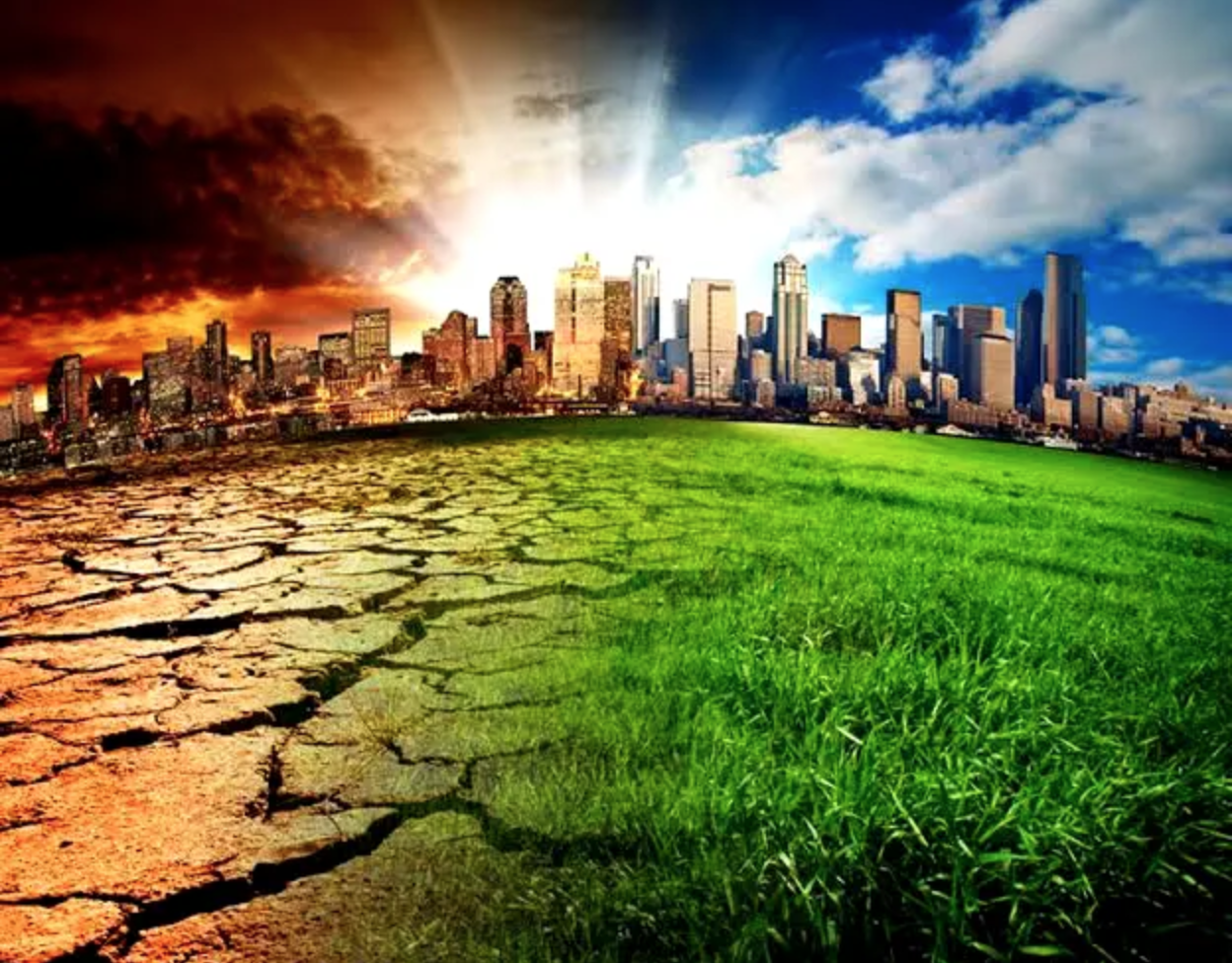Ecosystem restoration: Lagos unveils a 4 yr redevelopment plan of ...